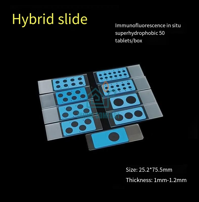 In Situ Hybridization Slide - Buy Slide, Glass slide factory, In Situ ...